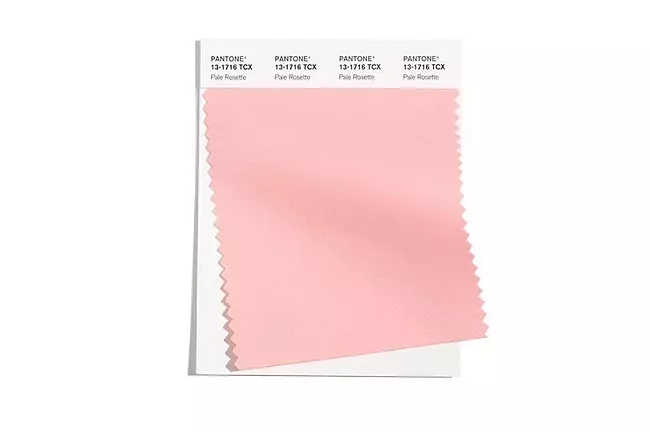 PANTONE 13-1716 Solğun Rozet şəkli № 11