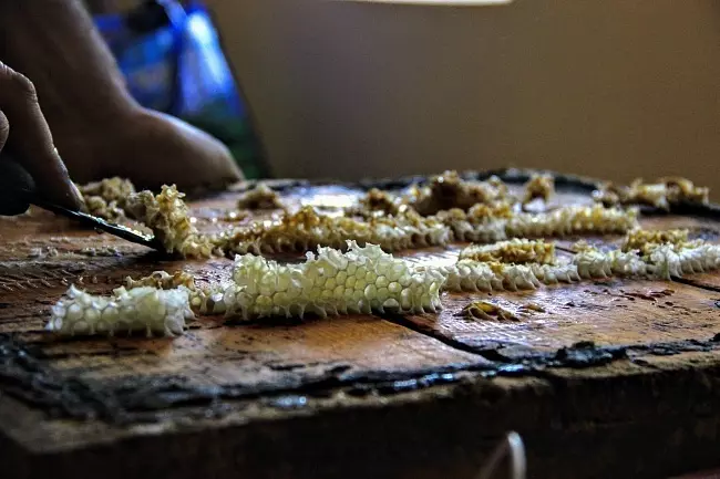 Dolce vita: come salvare il pianeta vendendo miele georgiano foto n. 1