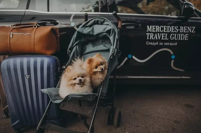 Mercedes-Benzek bidaiatzera gonbidatzen zaitu! 2 zenbakiko argazkia