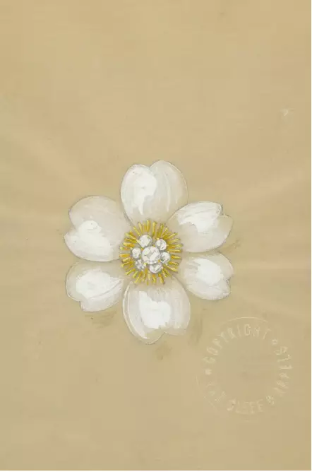 Rosa de Nadal de Van Cleef & Arpels: novas decoracións inspiradas na foto número 1 da flor Hellebore