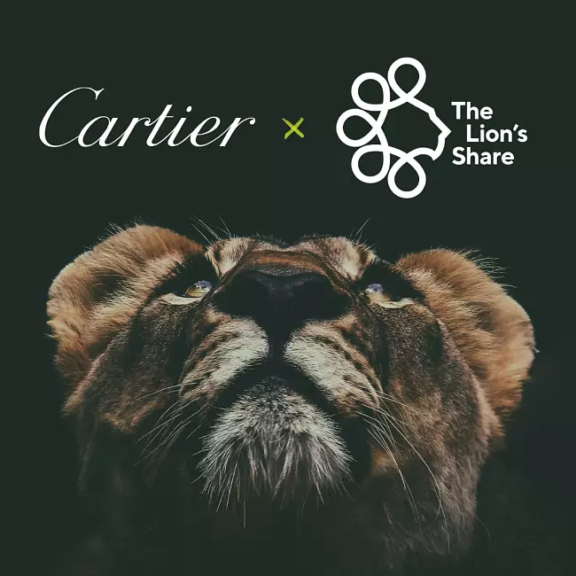 Cartier bắt đầu hợp tác với Lion's Share Fund ảnh # 1