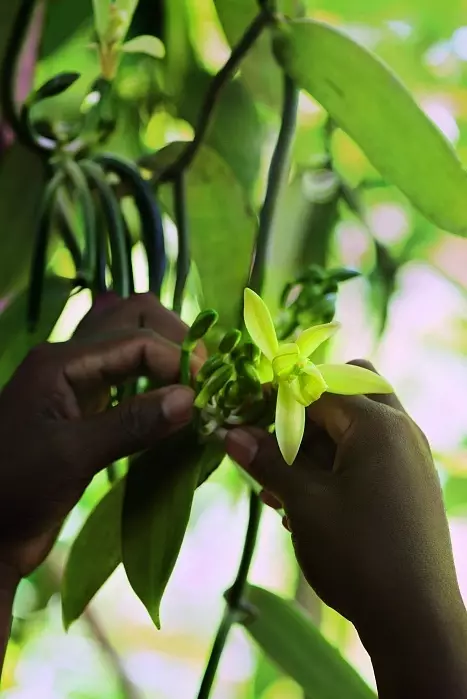 ඡායාරූප අංක 6