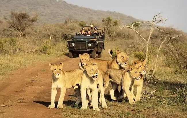 Njem njem mebere, nkwado ahụike na enyemaka mmadụ: ka ụlọ oriri na ọṅụṅụ gburugburu ụwa si enyere aka ịnagide foto ọrịa # 9