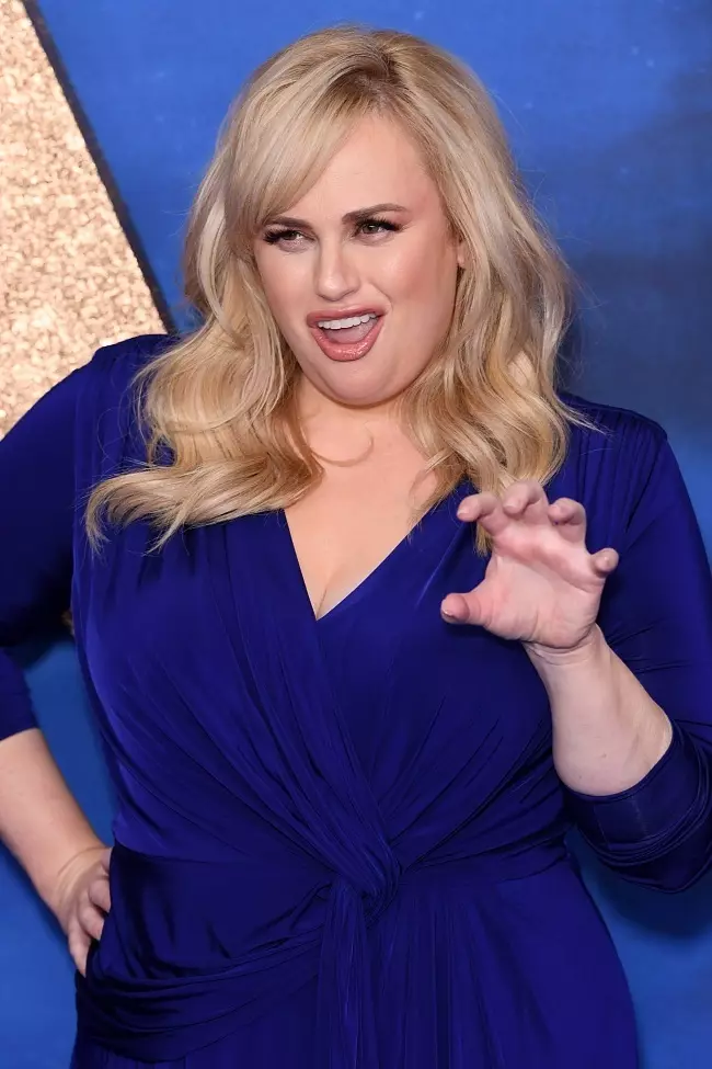 Rebel Wilson 和 Robbie Fairchild：“我们学习了猫的习惯”照片 #2