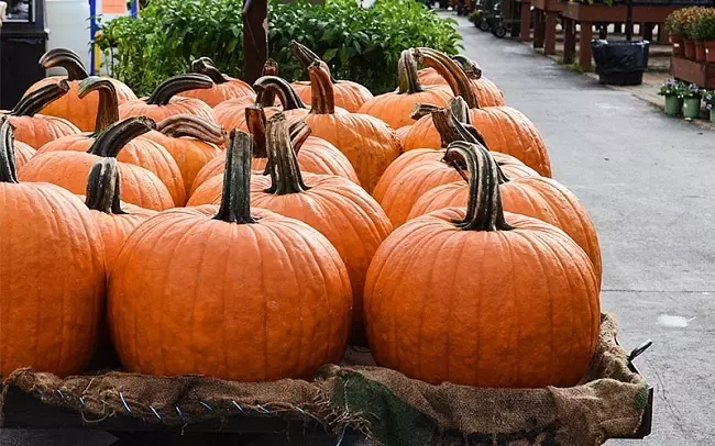 Pleananna deireadh seachtaine: déan grianghraf feannadh aghaidh pumpkin # 1