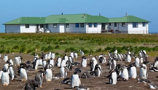 Gosaria jirafa batekin: animaliekin elkarreragin dezakezun 10 hotel # 11. argazkia