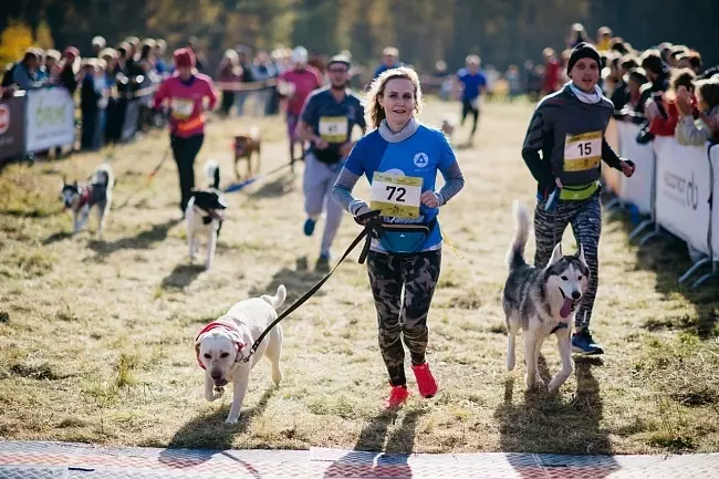 Wochenendpläne: den Hund laufen lassen (für wohltätige Zwecke) Foto # 1