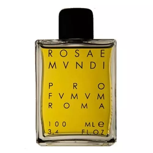 Flowers bloom: 9 best fragrances with a note of rose photo # 3